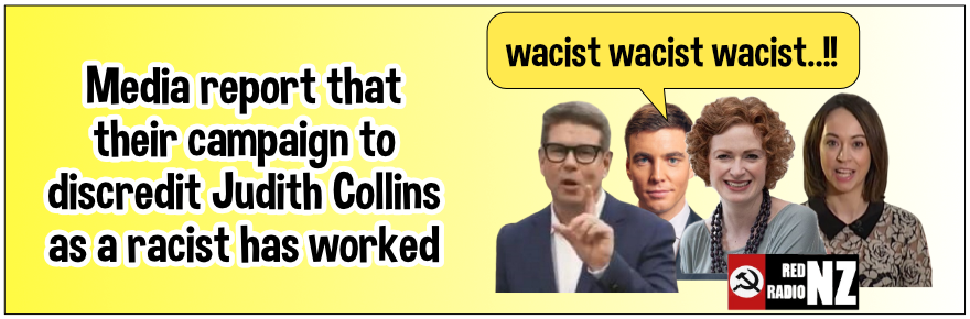 Media’s faux innocence of their part in Judith Collin’s low polling ...