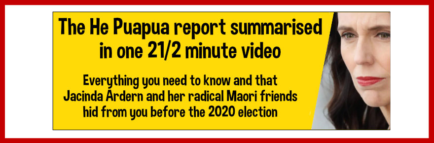 The He Puapua report summarised in video – THE REDBAITER on X